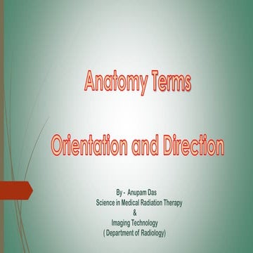 Branches of anatomy | PPT