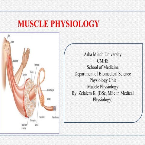 4. Muscle Physiology detail notes and power point | PPT