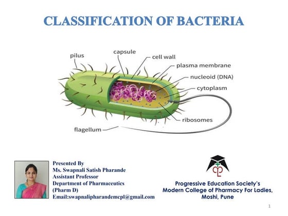 Classification of bacteria | PPTX | Biological Sciences | Science