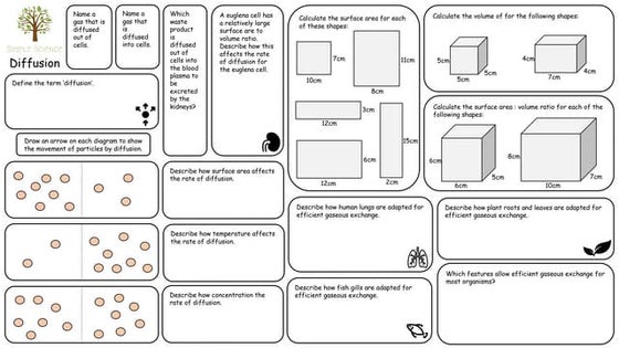 Diffusion Diagram Worksheet