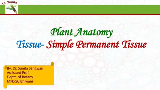 Simple and complex tissue (permanent tissue) | PDF | Biological ...