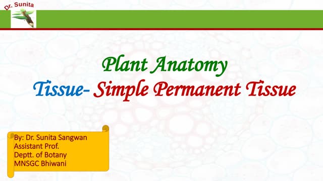 tissues cbse grade 9 science biology.pptx