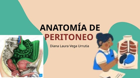 Peritoneo y fascias de coalescencia | PPT