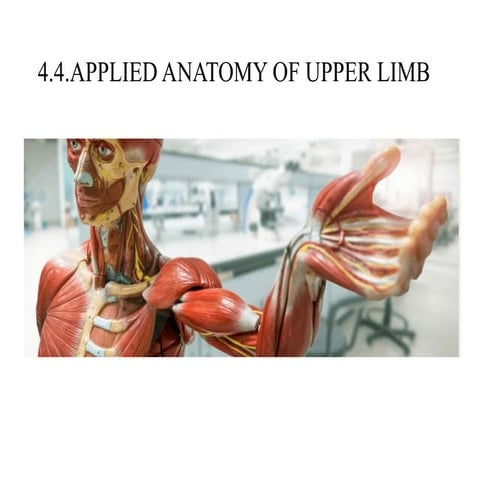 Slide for Applied anatomy of Upper Limb.pptx