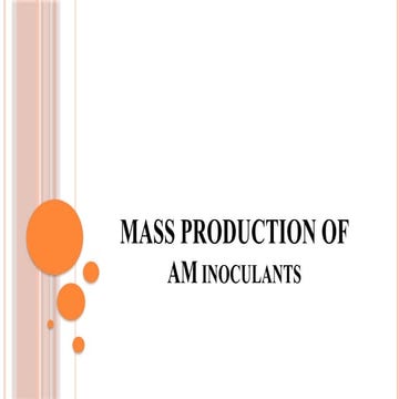 4.-Mass-production-of-AM-inoculants.pptx