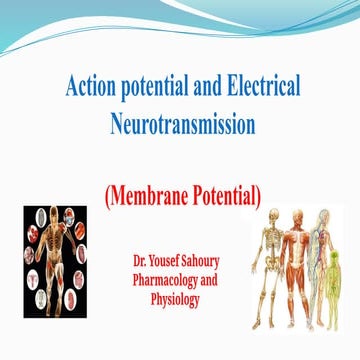 Excitable tissue Physiology | PPTX