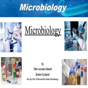 PHENOTYPIC METHODS OF Bacterial identification- conventional ...