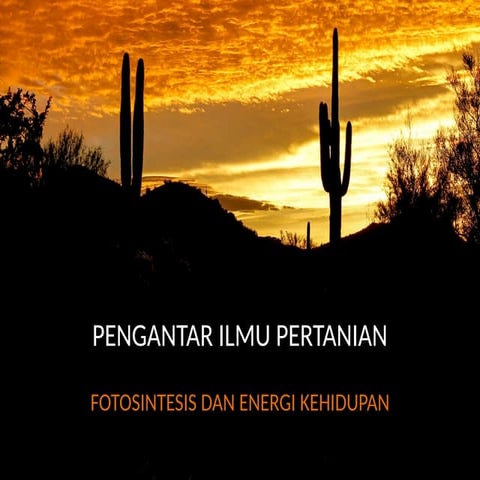 Pengantar Ilmu Pertanian - Fotosintesis dan | PPTX