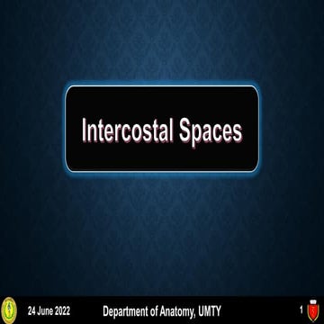 4.Intercostal space of thorax anatomy human | PDF