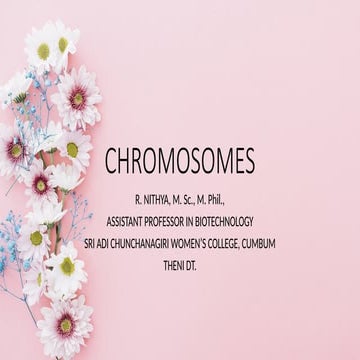 4. CHROMOSOMES.pptx Cell and Molecular Biology | PPTX