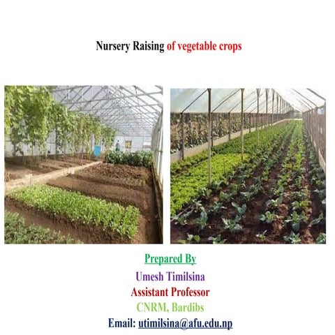 4. Nursery raising of fruits and vegetable crops.pptx