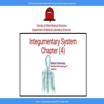Introduction to the Integumentary System: Skin, Hair, and Nails” | PDF