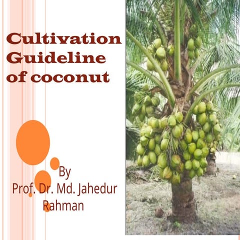5-Different-Growth-Stages-of-Coconut.pptx