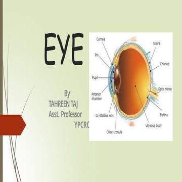 4. Eye.pptx human anatomy physiology. pharmacy | PPTX