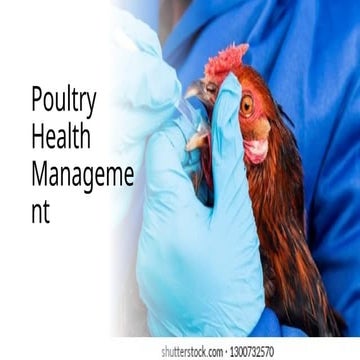 Poultry-Health-Management pptx............................... | PPTX