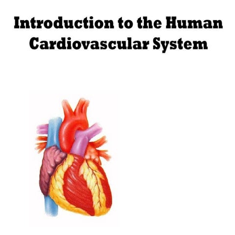 Comparative anatomy circulatory system | PPT