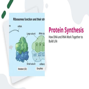 Protein Synthesis with respect to central dogma | PPTX
