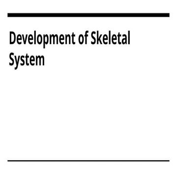 4.Human body,bones basics and development.pptx