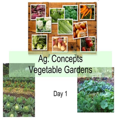 4 26 intro to vegetable gardening | PPT