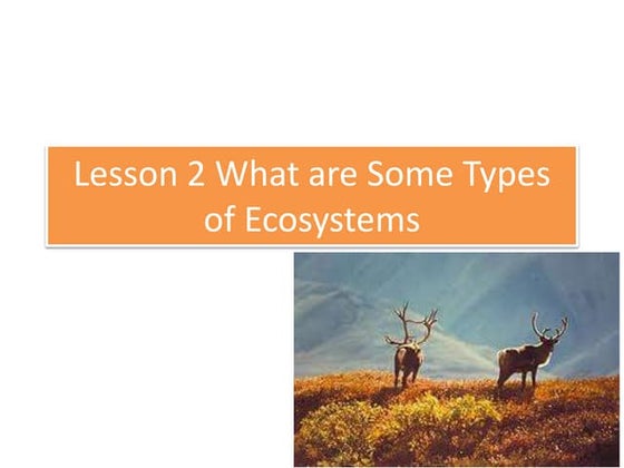 Temperate deciduous forest biome | PPTX | Geography | Science
