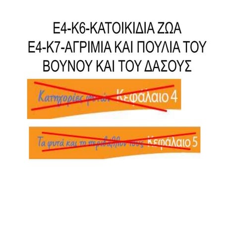 Ε4-Κ6-ΚΑΤΟΙΚΙΔΙΑ ΖΩΑ-Ε4-Κ7-ΑΓΡΙΜΙΑ ΚΑΙ ΠΟΥΛΙΑ ΤΟΥ ΒΟΥΝΟΥ ΚΑΙ ΤΟΥ ΔΑΣΟΥΣ ...