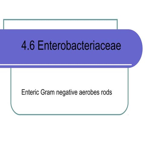Enterobacteriaceae & Brucella | PPT
