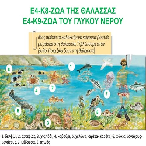 Ε4-Κ8-ΖΩΑ ΤΗΣ ΘΑΛΑΣΣΑΣ-Ε4-Κ9-ΖΩΑ ΤΟΥ ΓΛΥΚΟΥ ΝΕΡΟΥ | PPTX