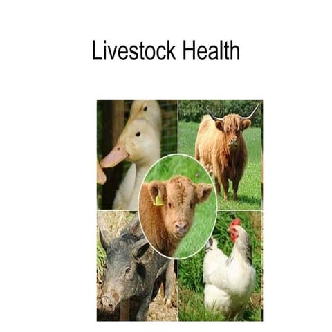 4 8 livestock health | PPT | Veterinary Medicine | Pets