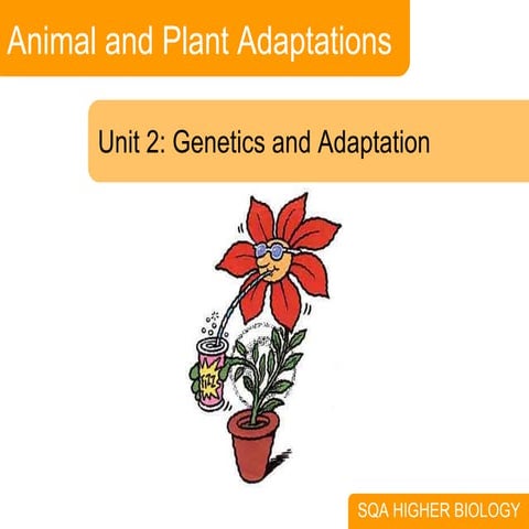 4. Adaptations | PPT