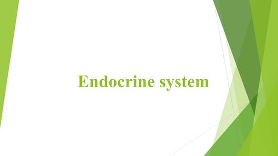 Endocrine System Anatomy | PPT
