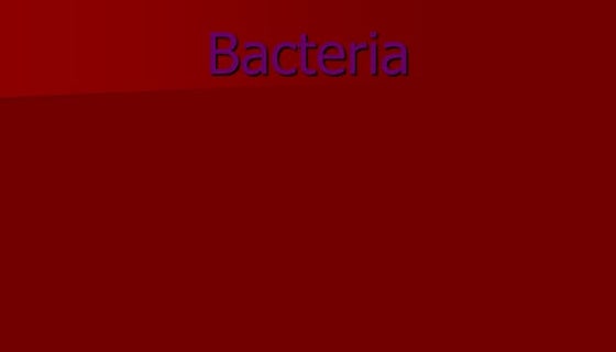 Bacteria _ ppt.ppt