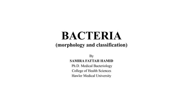 Proteus spp lecture | PPTX