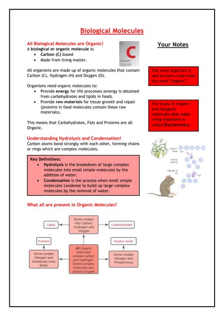 Bio Molecules PPT By Lecturer Dharavath Ram Kumar.pptx