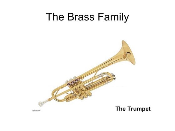 6 instruments-orchestra-worksheet | PPT
