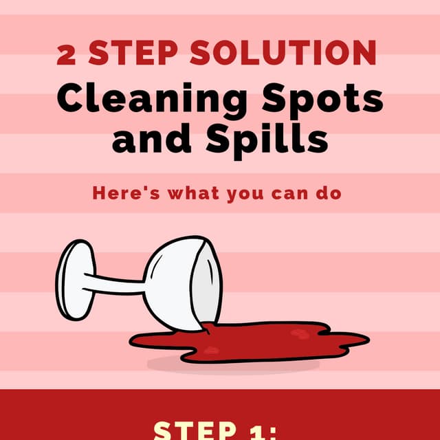 Cleaning Spots and Spills [2020] | PDF