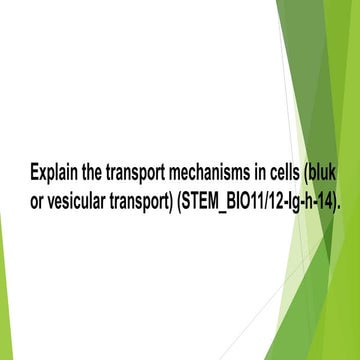 Lesson 4 enzyme idk iteBULK-TRANSPORT.pdf