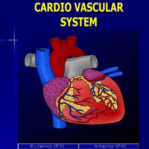 4 Cardiovascular | PPT