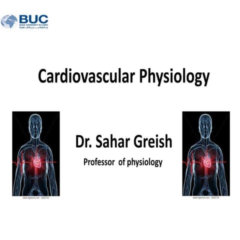 4-lecture cardiovascular Pharmacy 2024.pptx