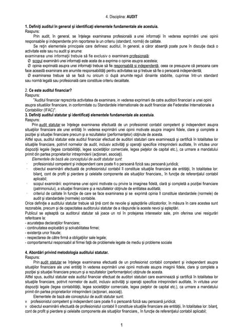 Raport de audit intern | DOCX