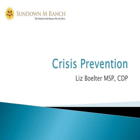 4 crisis prevention | PPTX