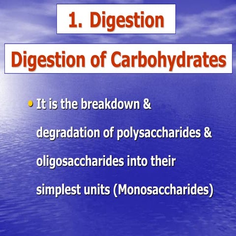 4 Digestion Pdf Pdf