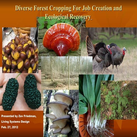 Coppice system , methods, types, purposes | PPT