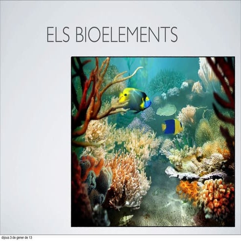 04. Els bioelements | PDF