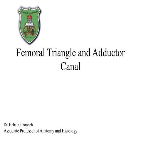 4-Femoral_triangle_and_adductor_canal.pdf