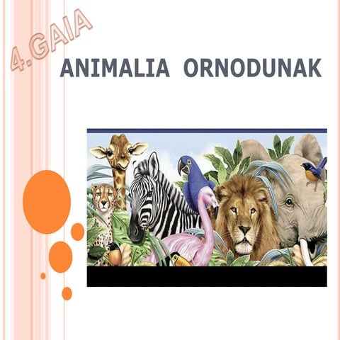 4.gaia animalia ornodunak | PPTX