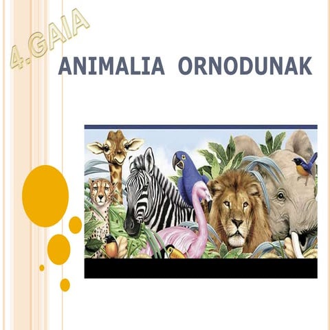 4.gaia animalia ornodunak | PPTX
