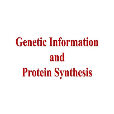 DNA Replication and Protein Synthesis | PPT