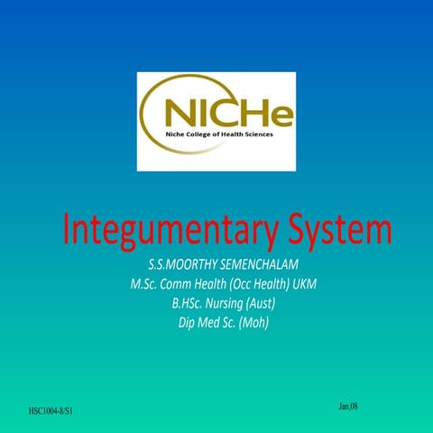 4. intergumentary | PPT