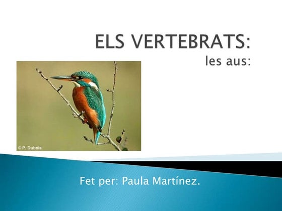 Les aus | PDF