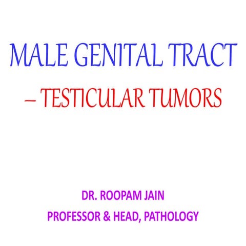 Pathology of testis | PPT